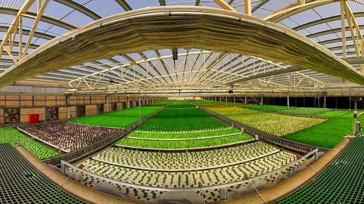 ¿Qué ha hecho Israel para ser líder mundial en producción y protección ...