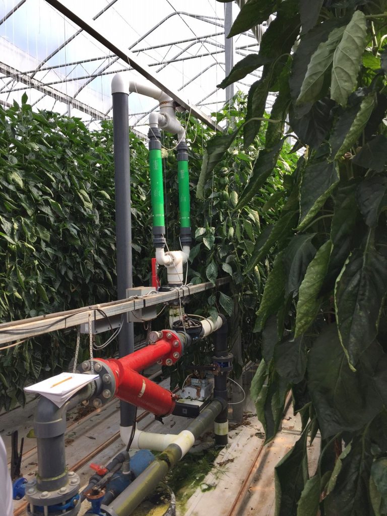 AQUA-4D®: Tratamiento físico para aguas de riego promete disminuir ...