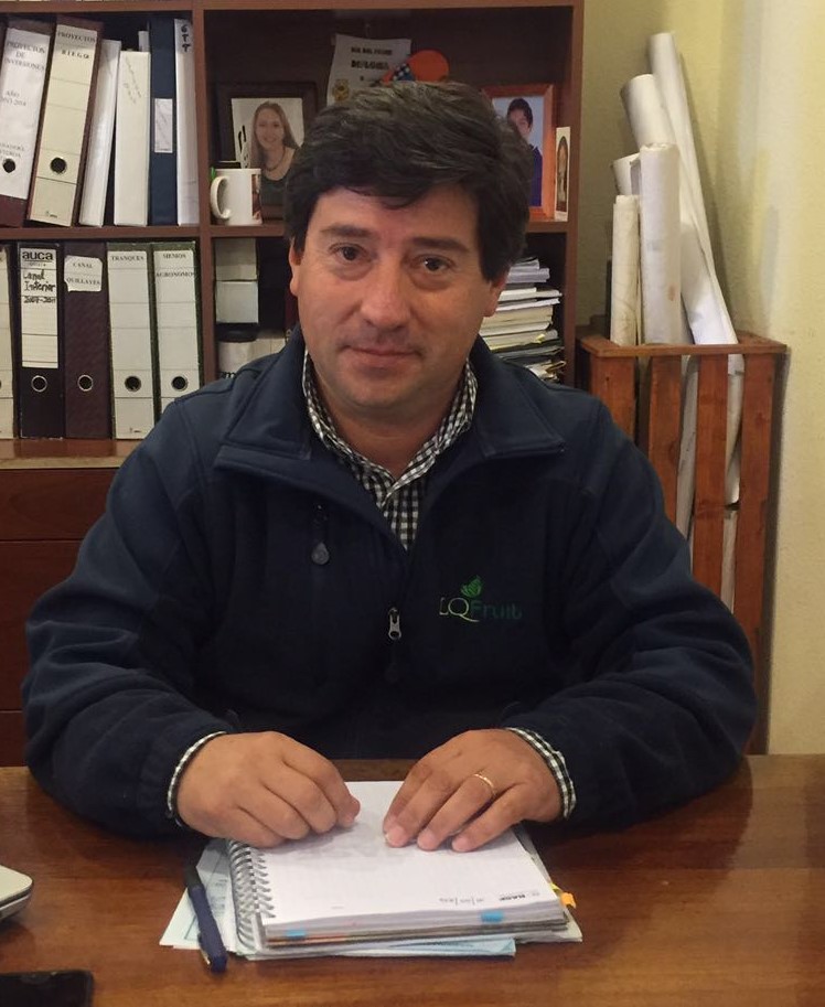 RootFeed Concentrate: Estimulando el crecimiento de las raíces de tus ...