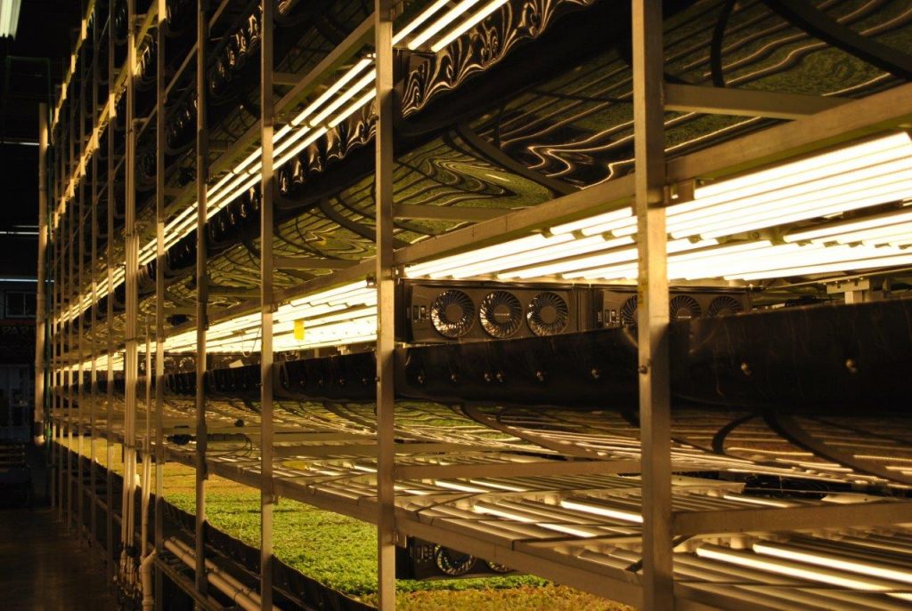 La granja vertical más grande del mundo genera productividad, escala y ...