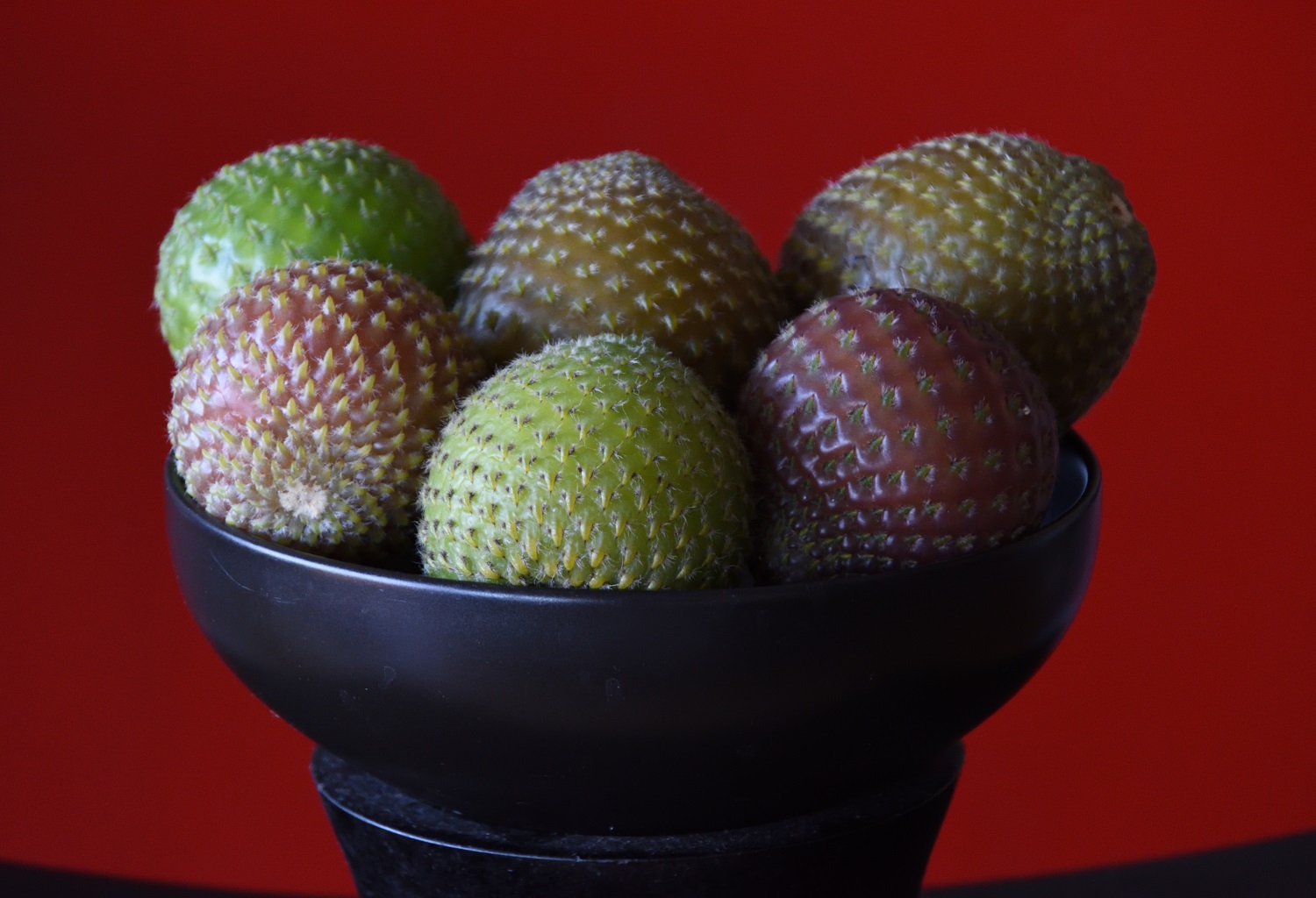 El Copao, fruto endémico de Chile que quiere trasladarse del desierto a ...