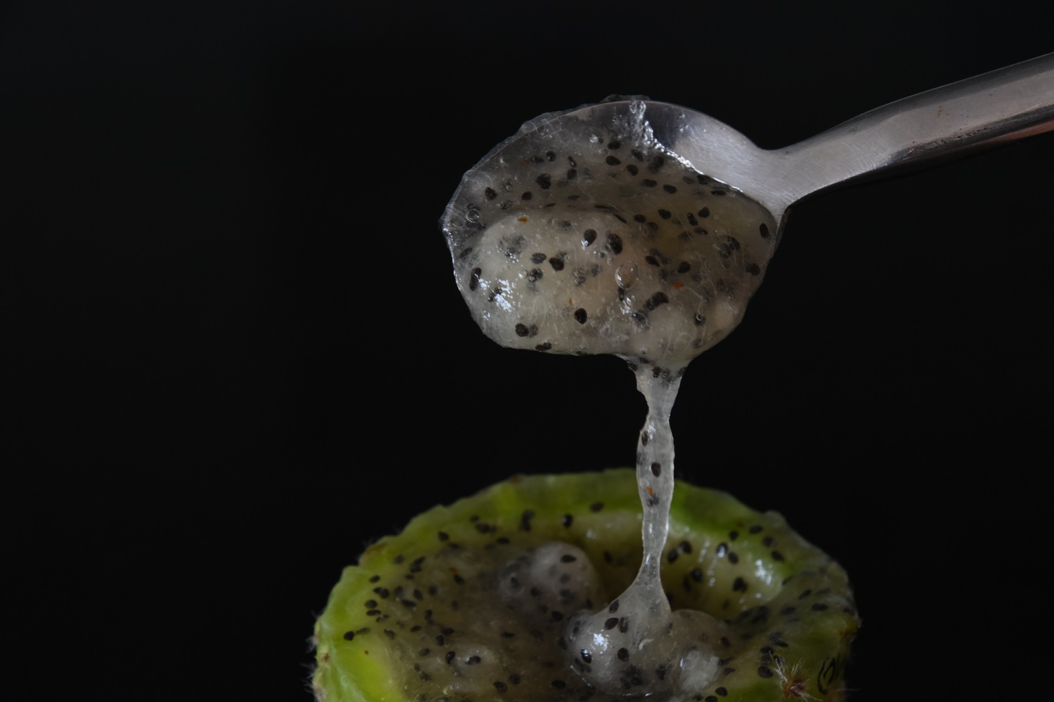 El Copao, fruto endémico de Chile que quiere trasladarse del desierto a ...