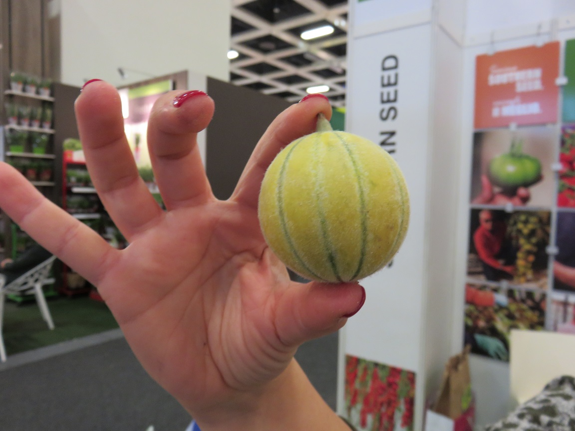Southern Seed presenta nuevos mini-melones en Fruit Logistica ...