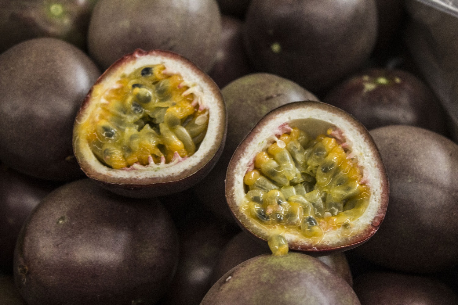 Exportaciones de Gulupa colombiana crecieron 15% en 2022