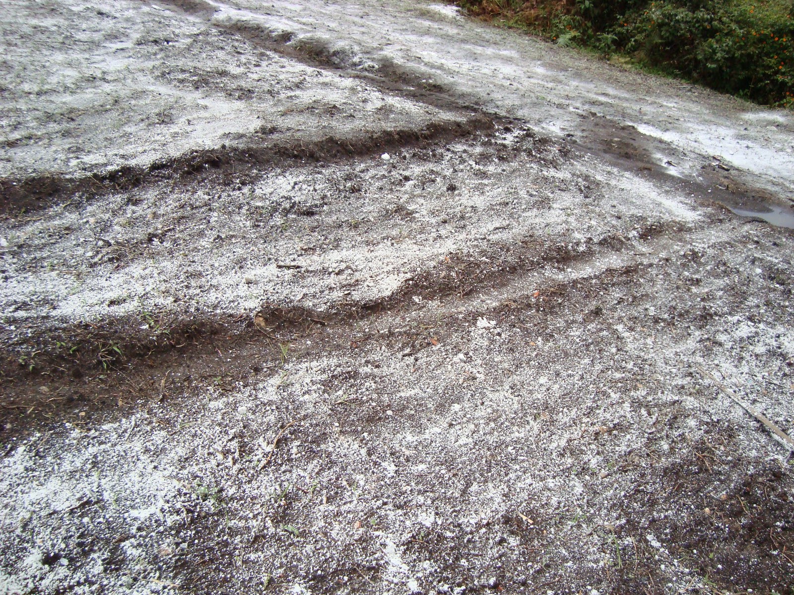 Encalados y aplicación de enmiendas orgánicas y minerales al suelo ...