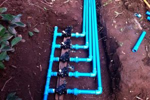 Guía de Diseño e Instalación de Sistemas de Riego Automático. Incluye PDF - PortalFruticola.com