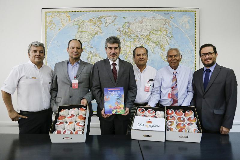 Mango peruano de Casma recibe nueva marca para posicionarse en los ...