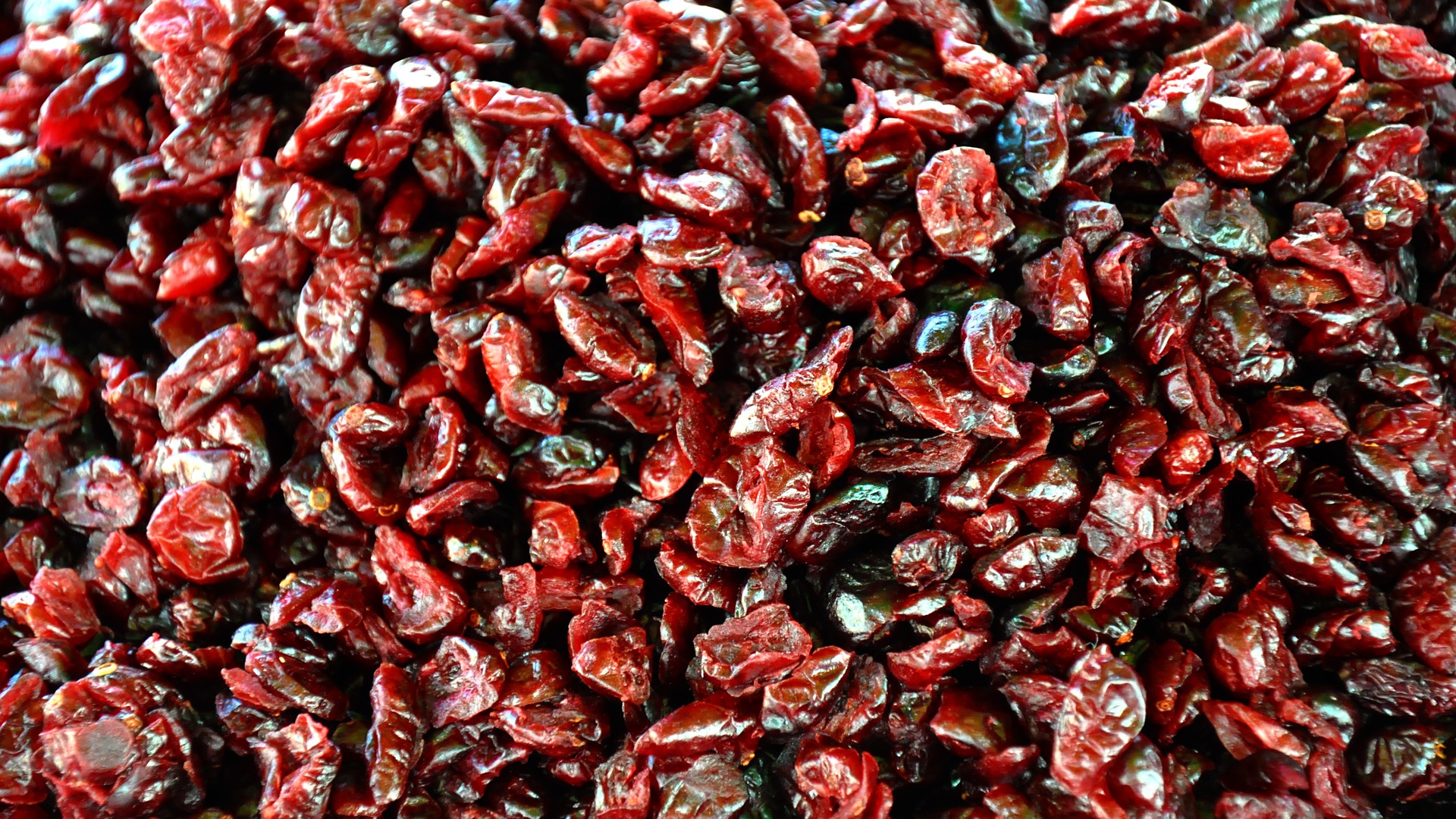 Ficha técnica para la producción de Rosa Mosqueta - PortalFruticola.com