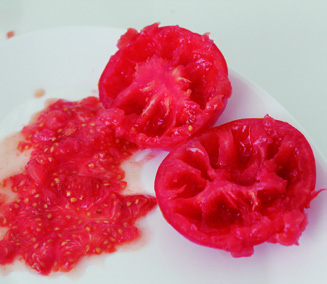 Cómo obtener semillas de Tomate Limachino Antiguo para la producción de ...