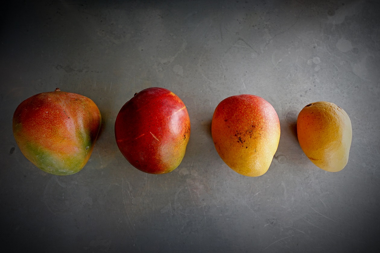 España produciría 10 mil toneladas más de mangos para esta temporada ...