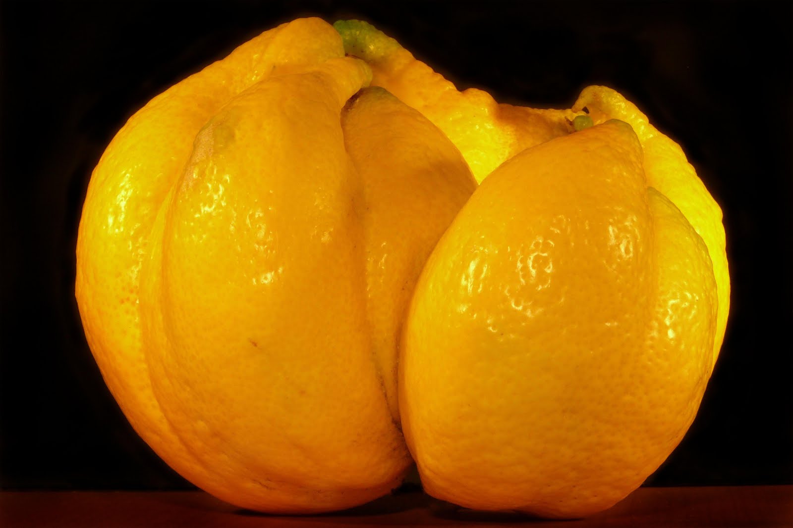 Aceria sheldoni: El ácaro de las maravillas en los cítricos ...