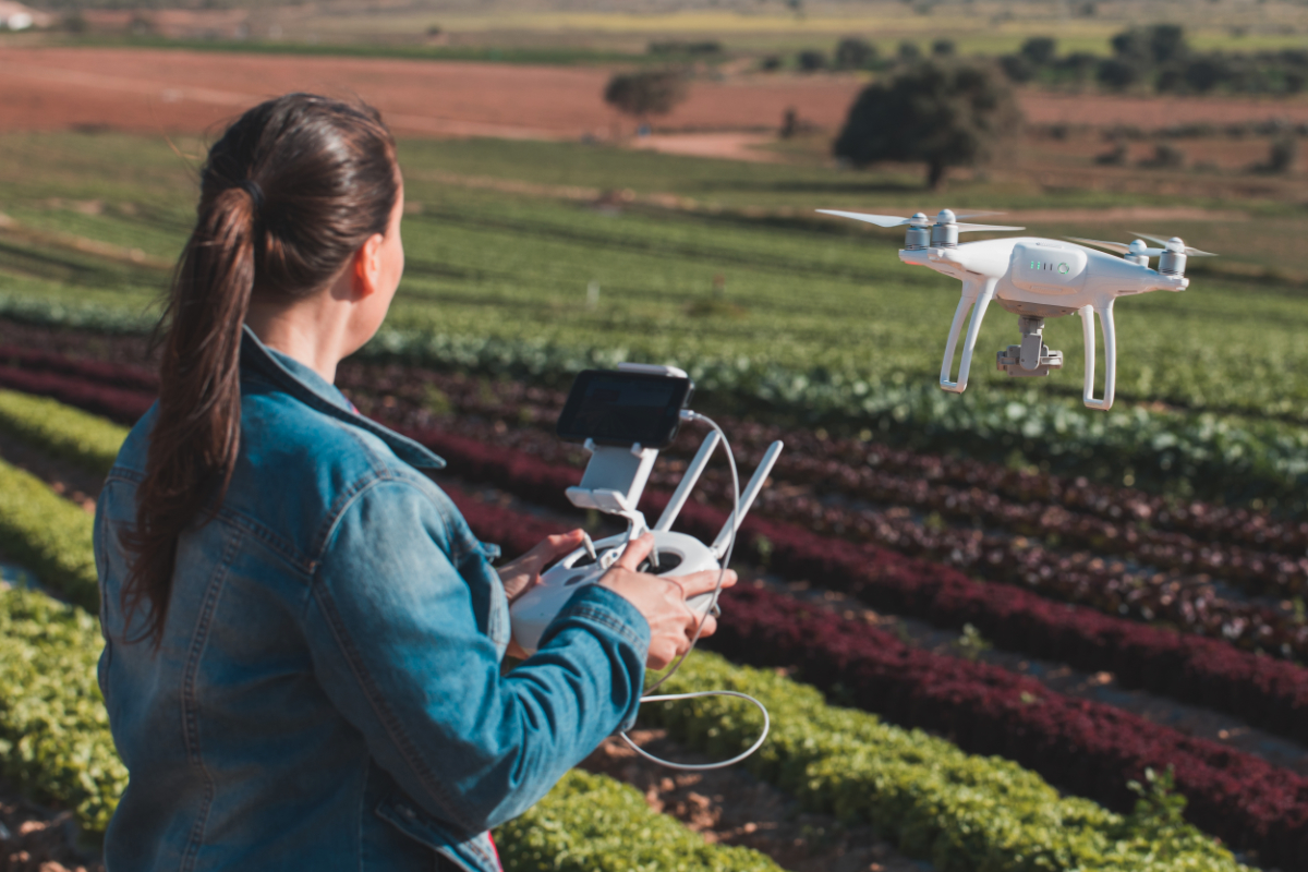 Inteligencia artificial en la agricultura, llave de la productividad ...