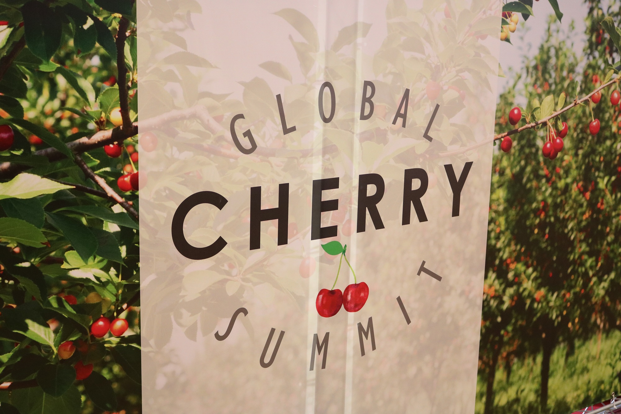 Segunda edición de Global Cherry Summit cautiva a los asistentes ...