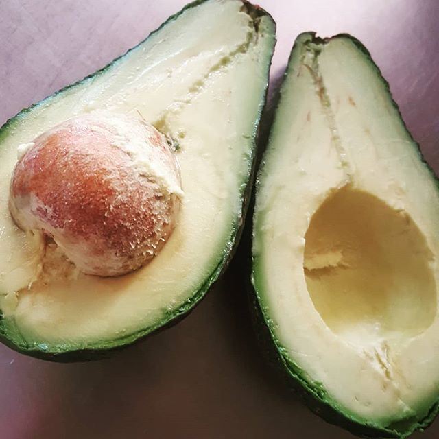 Principales variedades de paltas en Chile - PortalFruticola.com