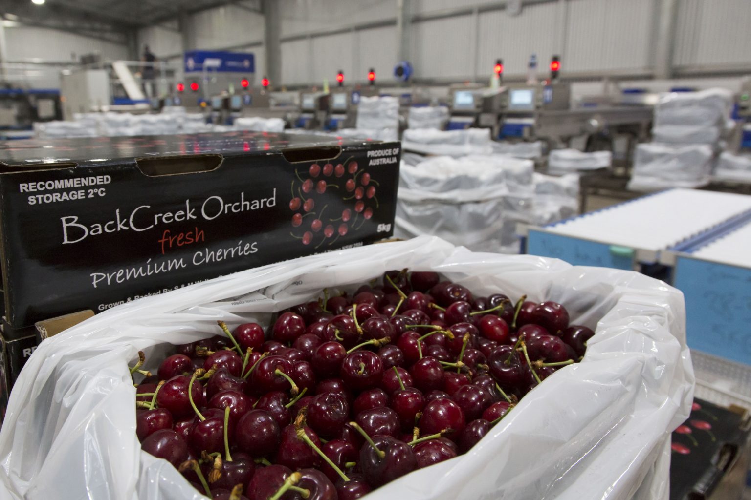 La central hortofrutícola australiana BackCreek Orchard habla de los resultados obtenidos ...