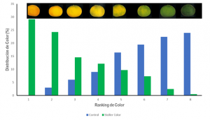Stoller Color: El bioestimulante que potencia el color y la condición ...