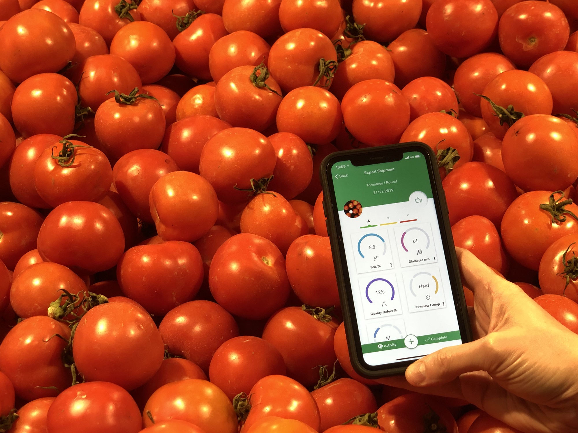 Clarifruit: Solución de control de calidad automatizada da grandes ...