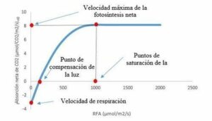 Tipos de luz para iluminar un invernadero - PortalFruticola.com