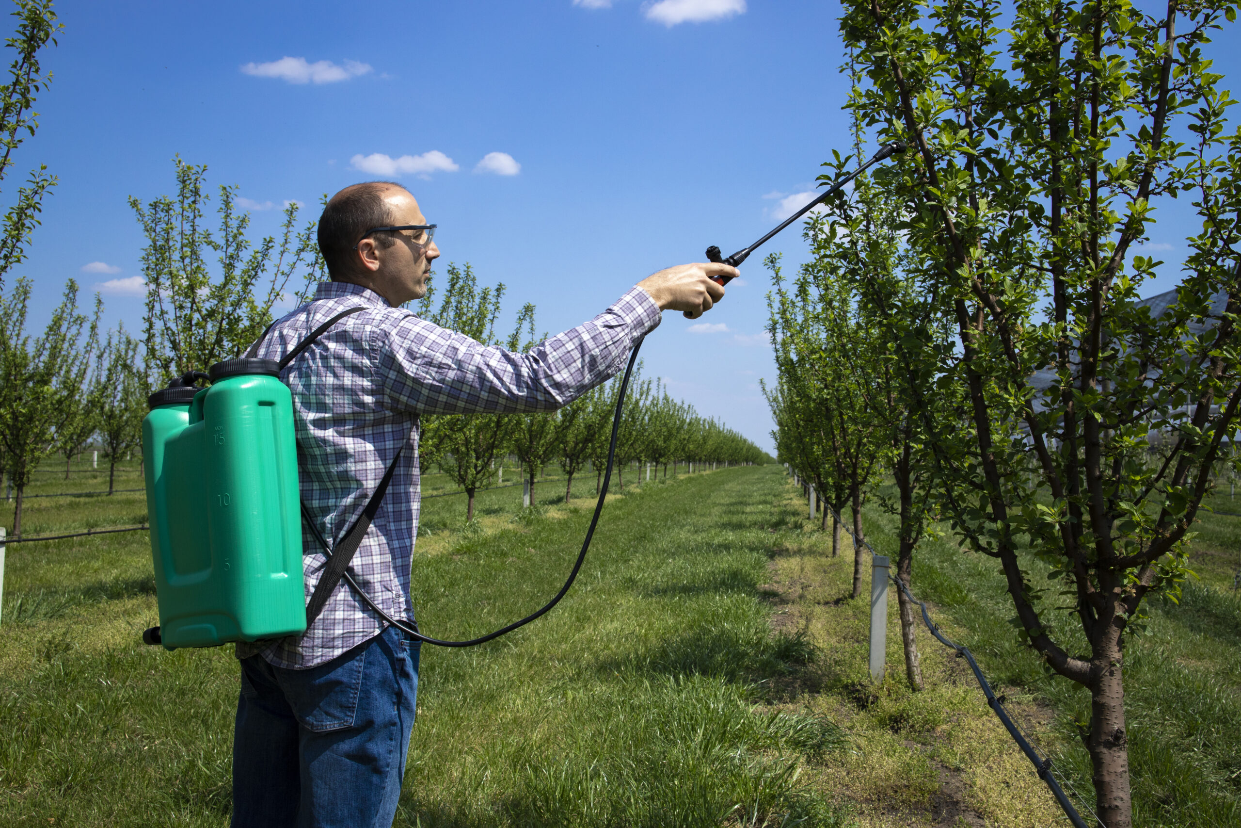 La ‘nociva’ agricultura insostenible - PortalFruticola.com