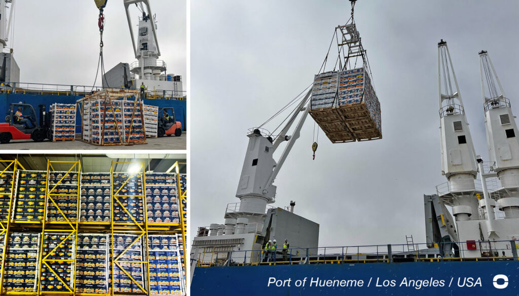 Cool Carriers apuesta por un servicio Invierno para la Costa Oeste de ...