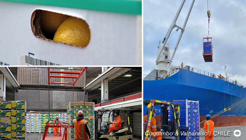 Cool Carriers apuesta por un servicio Invierno para la Costa Oeste de ...