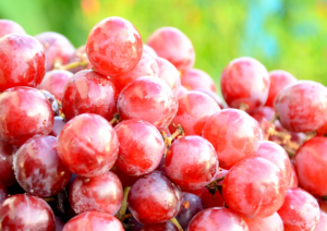 Conoce las principales variedades de uva de mesa en el mercado mundial - PortalFruticola.com