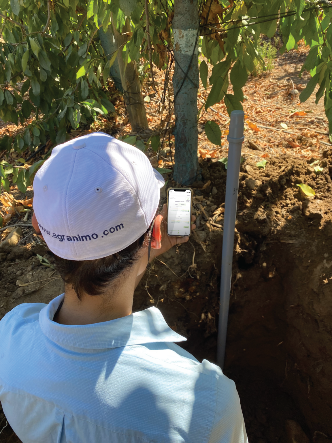 Agranimo: Un partner para tomar decisiones de riego en base a datos sólidos - PortalFruticola.com