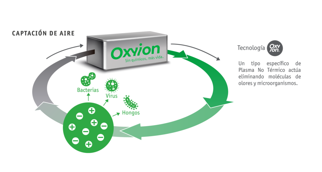 Oxyion, tu aliado en la prevención de amenazas virales en berries - PortalFruticola.com