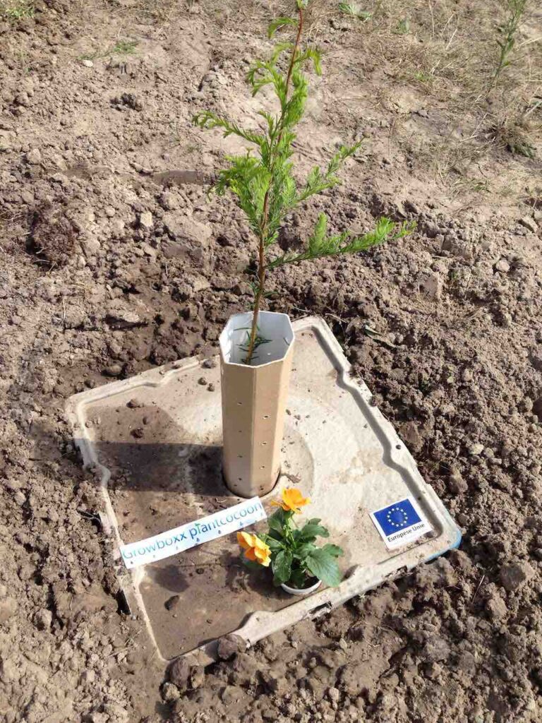 Waterboxx: Novedoso sistema para reforestar zonas áridas ...