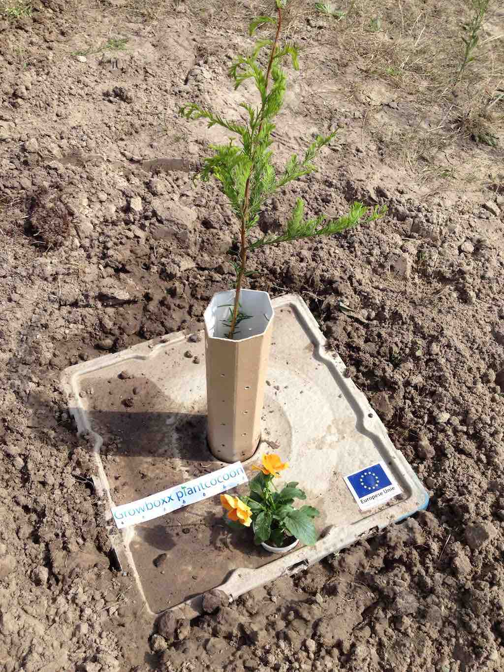Waterboxx: Novedoso sistema para reforestar zonas áridas ...