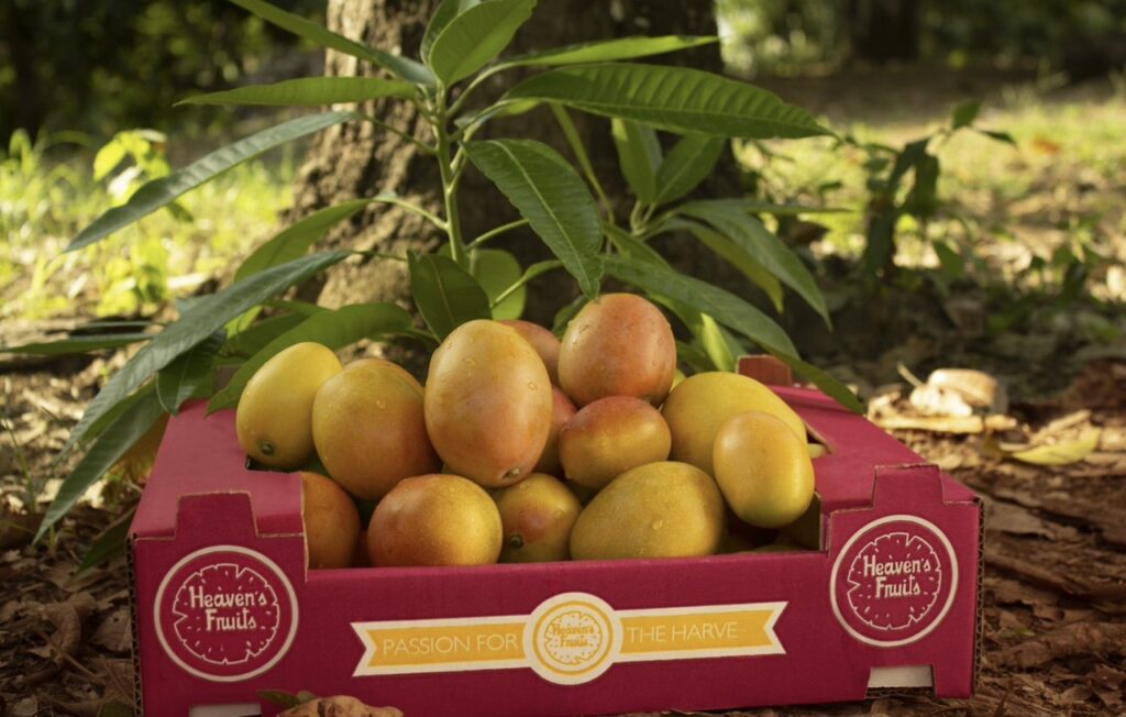 Colombia: Medio Oriente se convierte en el mejor aliado para aumentar ...