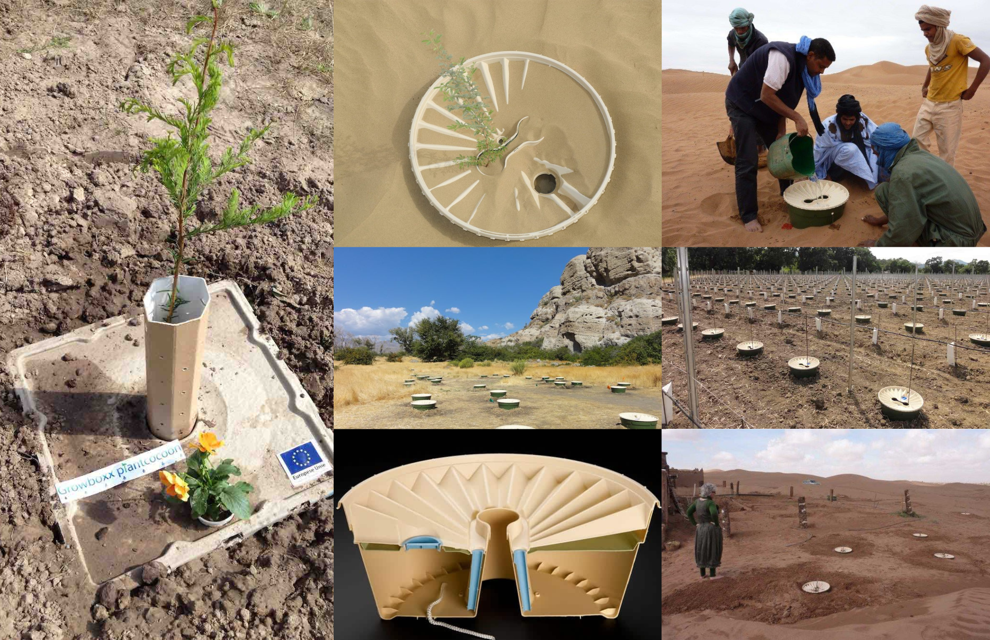 Waterboxx: Novedoso sistema para reforestar zonas áridas ...