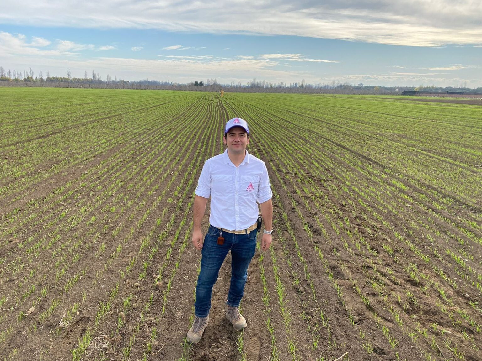 Chile:¿Cómo se han afectado los arándanos de Ñuble por las heladas ...