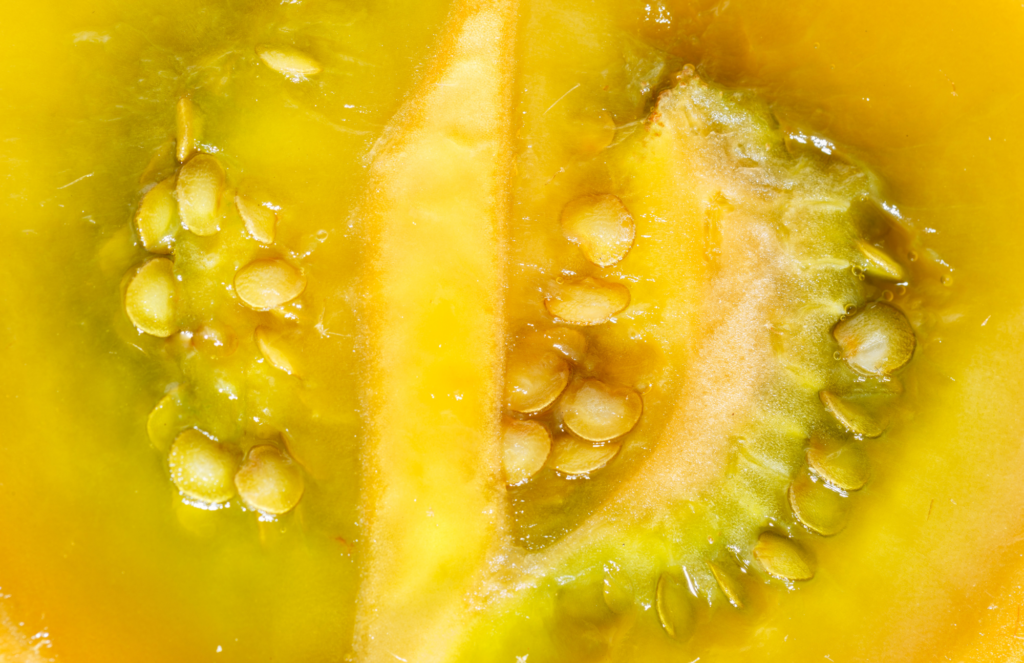 Ficha técnica para el cultivo de lulo - PortalFruticola.com