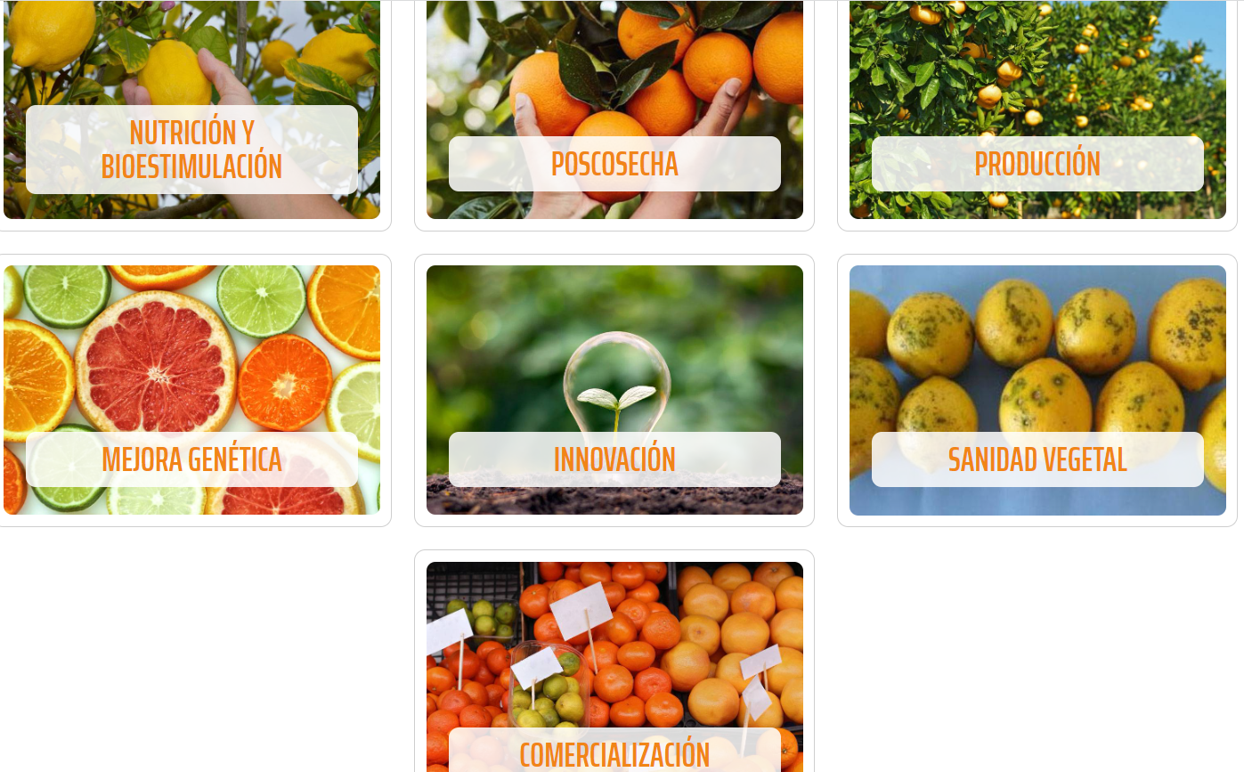 Citrus Connect: Evento online sobre el sector citrícola comienza el 21 ...