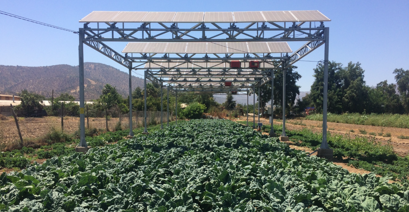 La agrofotovoltaica (APV): herramienta de eficiencia en el uso de la ...