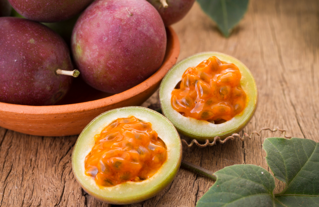 Plagas y enfermedades del cultivo de gulupa - PortalFruticola.com