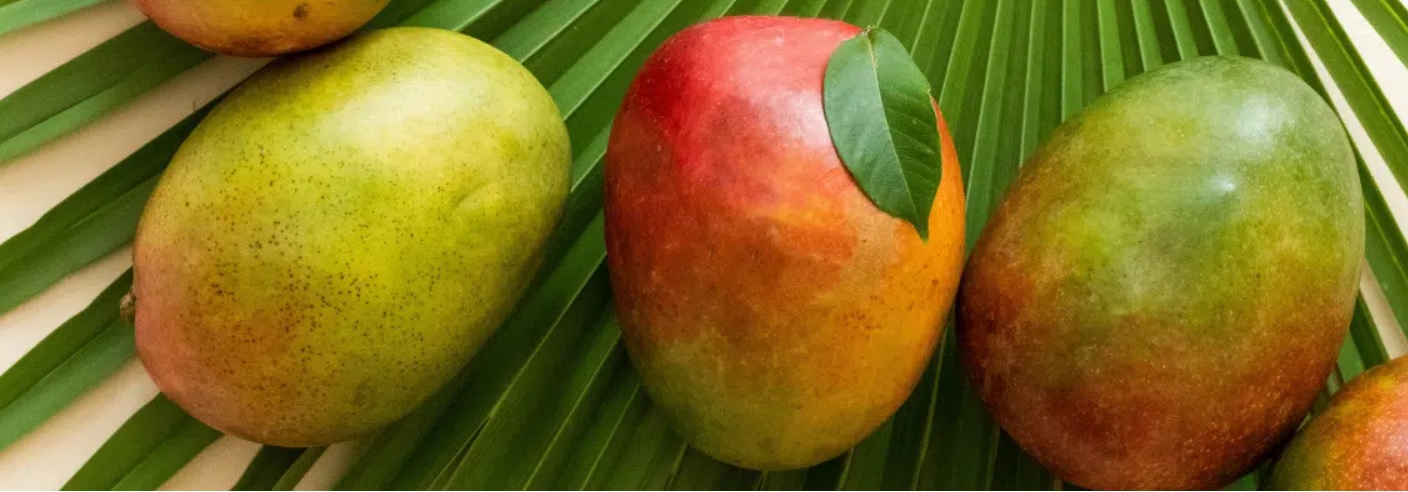 National Mango Board: ¿Cómo elegir un mango?