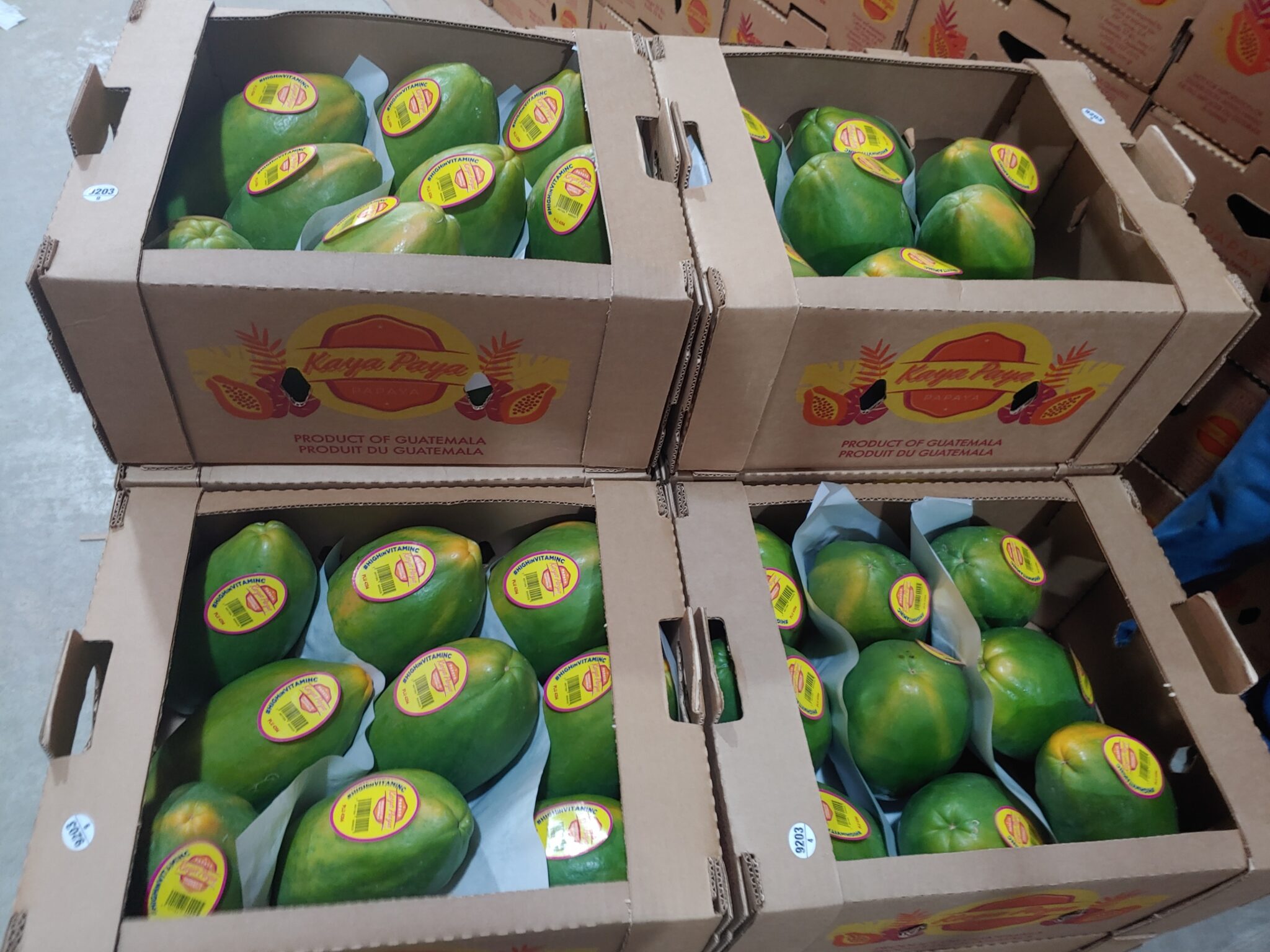 Exportaciones de papaya Guatemalteca va viento en popa