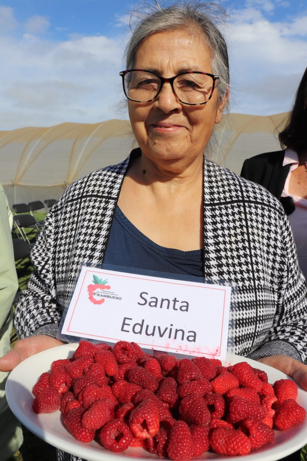 Conoce las 4 nuevas variedades de frambuesas 100% chilenas