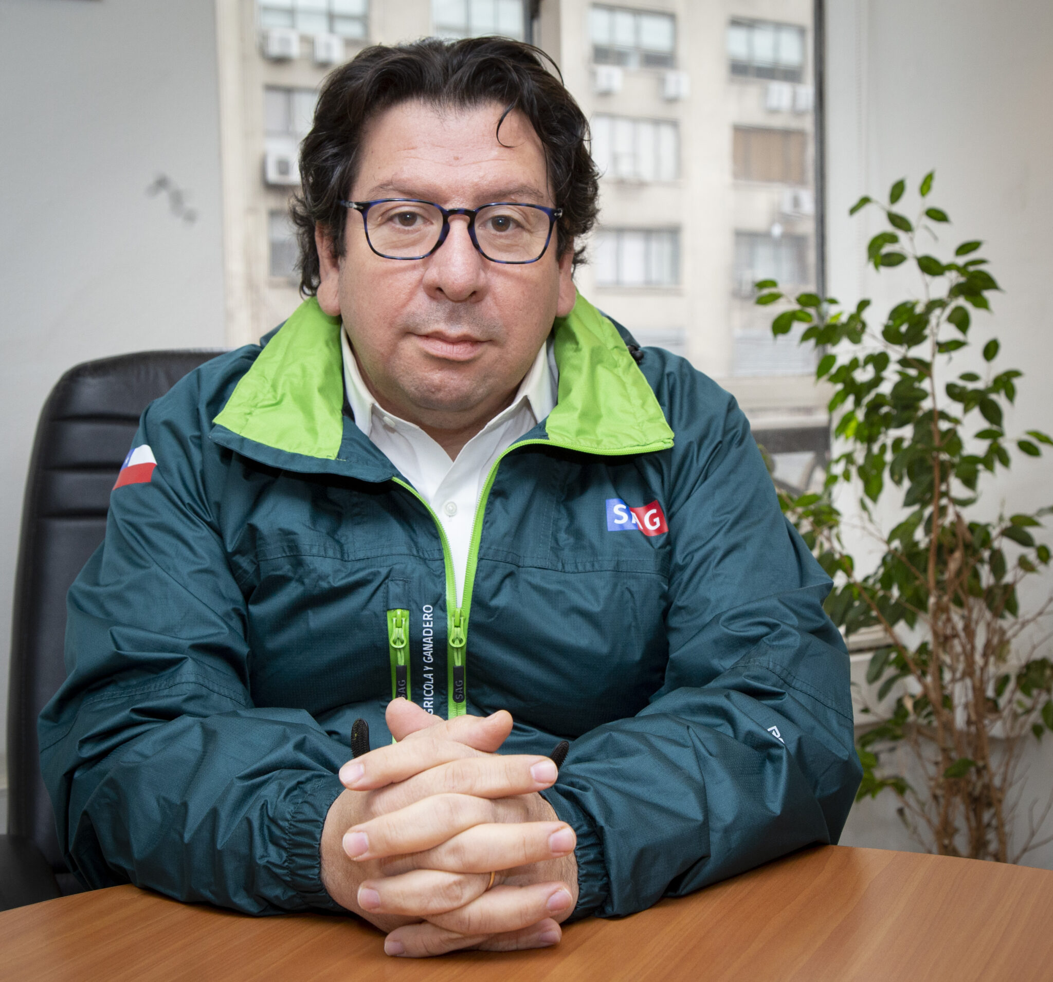 Mango peruano con problemas para entrar a Chile