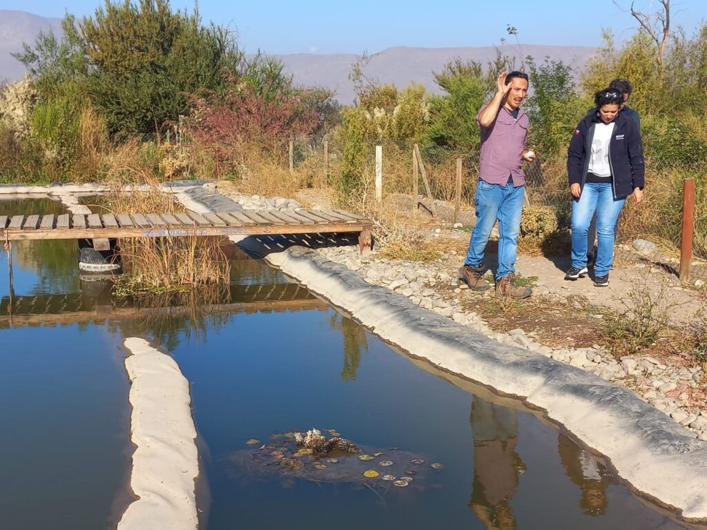 Sistema de reciclaje de aguas grises a través de plantas y peces