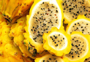 Envíos de pitahaya ecuatoriana registraron un crecimiento sostenido y ...