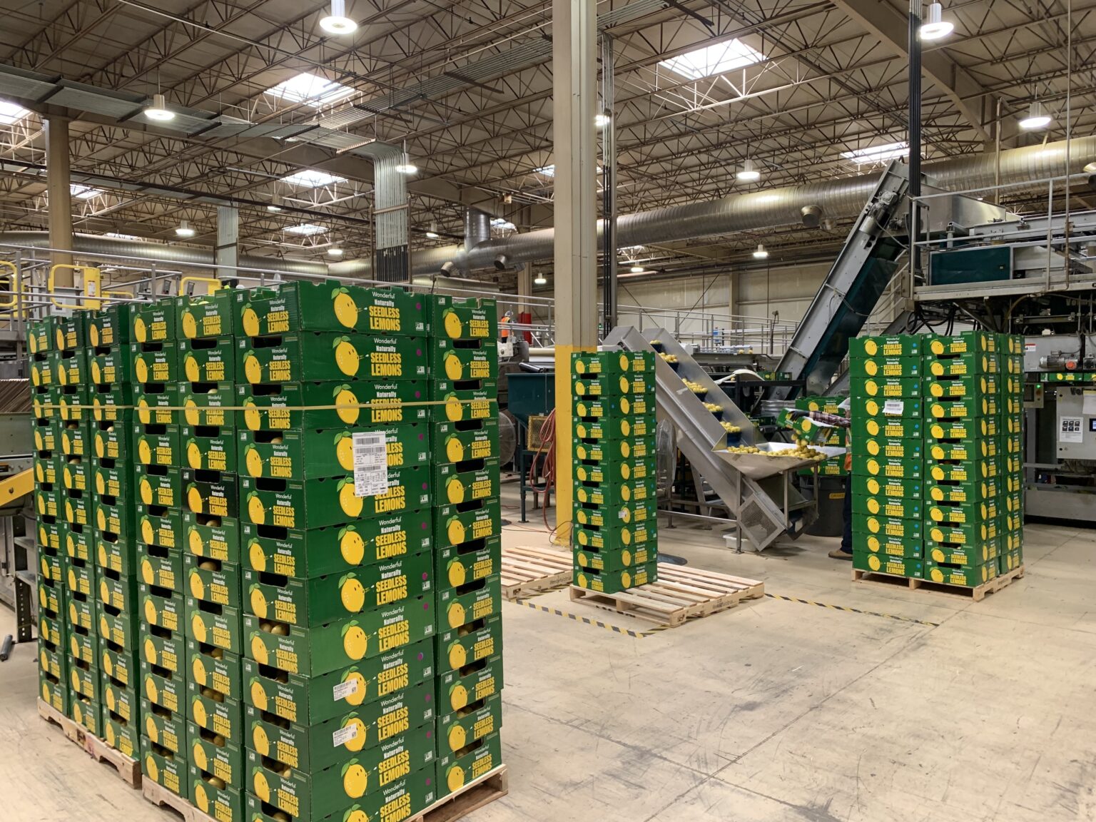 Grandes proyecciones para limones sin pepa de Wonderful Citrus