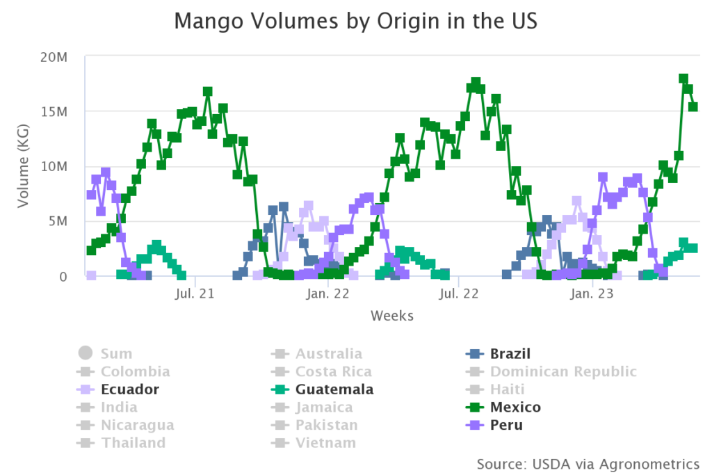 Exportaciones de mango mexicano a EE.UU. aumentan un 11%