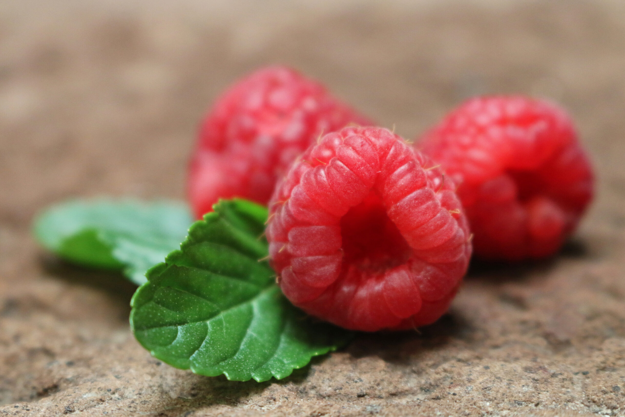 Se dispara consumo de frambuesas mexicanas en EE.UU