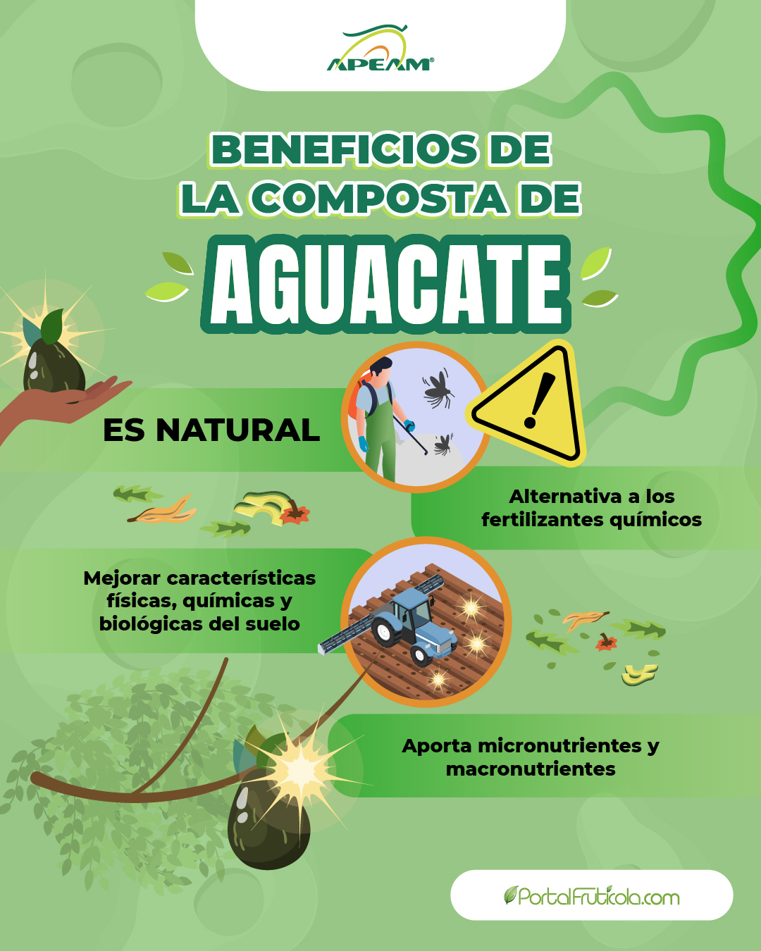 Cómo hacer composta con cáscaras de aguacate: Una estrategia sostenible ...