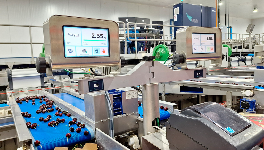 True AI: Clasificación de alta precisión con Inteligencia Artificial