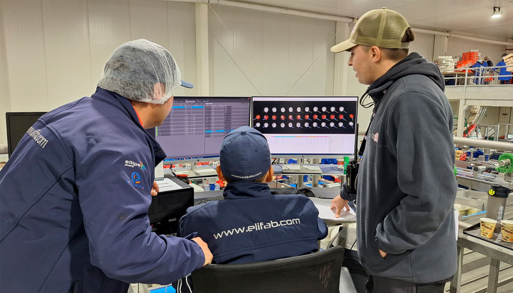 True AI: Clasificación de alta precisión con Inteligencia Artificial