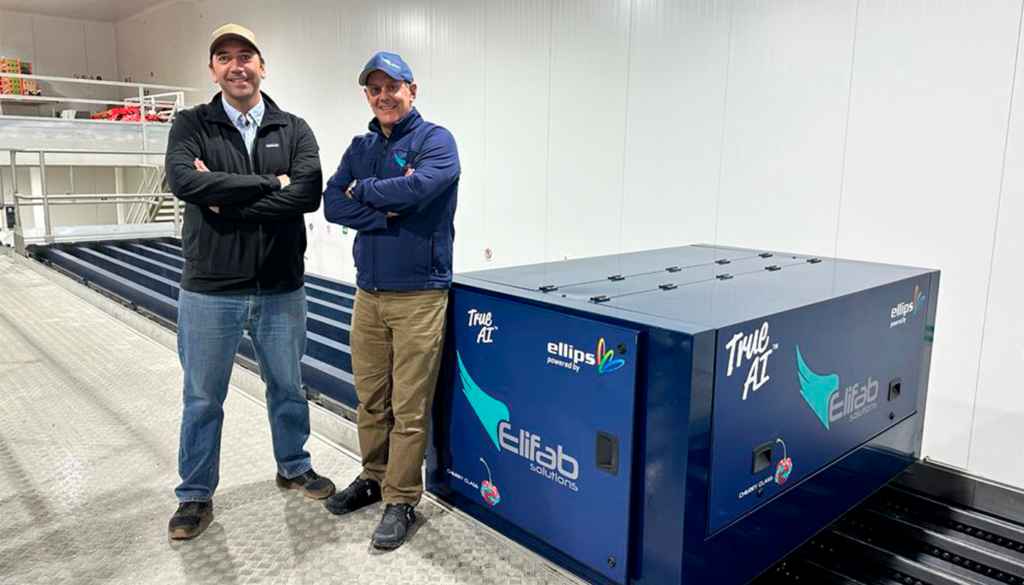 True AI: Clasificación de alta precisión con Inteligencia Artificial